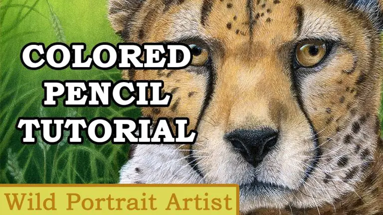 How To Draw a Realistic Tiger | Marker + Coloured Pencil Drawing ...