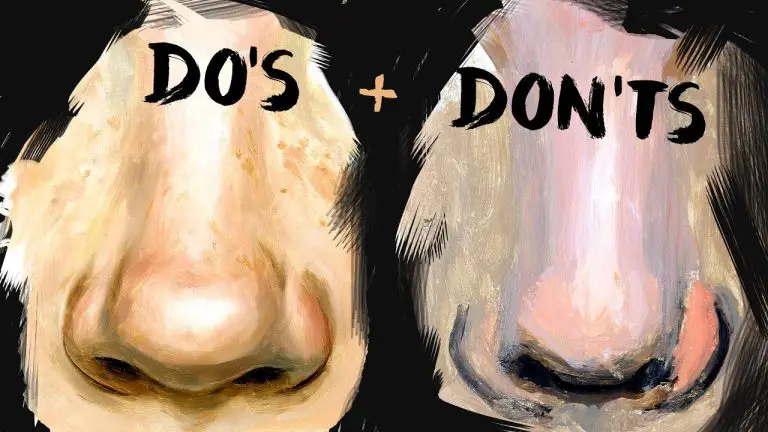 How to draw different nose shapes - Jescia Hopper - PaintingTube