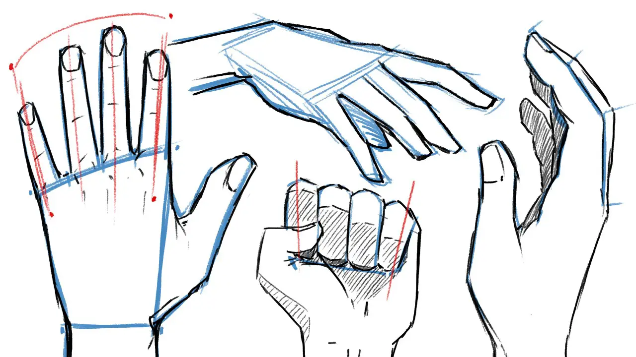 Drawing Hands Anatomy Master Class PaintingTube Drawing Hands Anatomy Master Class PaintingTube