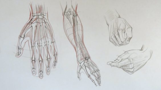 5 Ways to Draw Relaxed Hands - PaintingTube