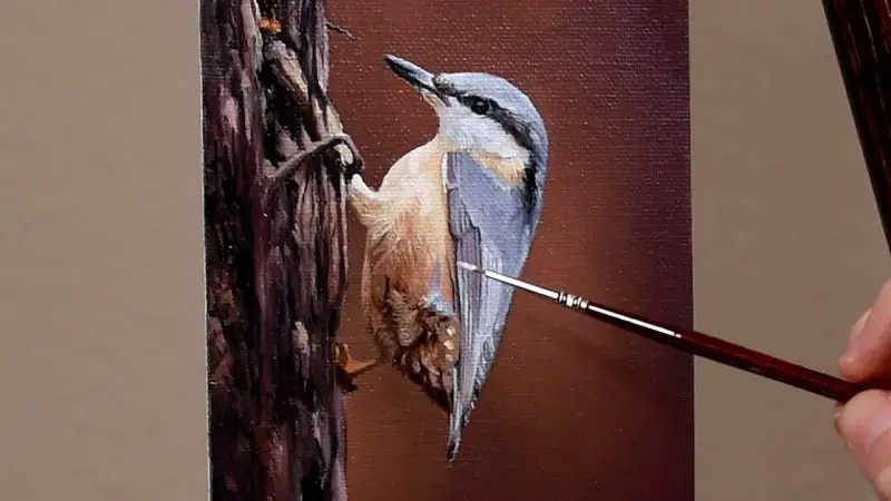 How to paint birds in oil painting - Video tutorial - PaintingTube