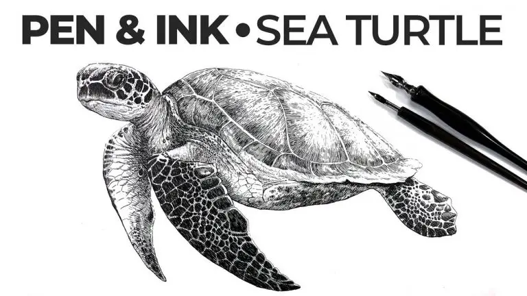 HOW TO DRAW a Turtle - Video Tutorials on PaintingTube