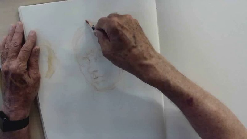MAPPING THE FACE FOR ANIME & MANGA - PaintingTube