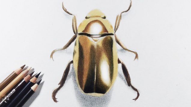 How to shade using Color Pencils - PaintingTube