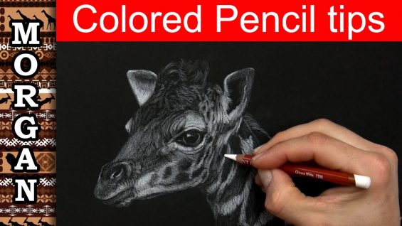 Drawing Chula the Chihuahua - PaintingTube