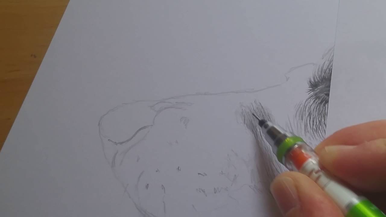 How to draw, shade a realistic eye with teardrop | Step by Step Drawing ...