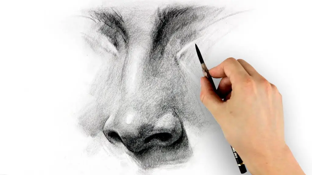 How to Draw Noses from Different Angles - PaintingTube