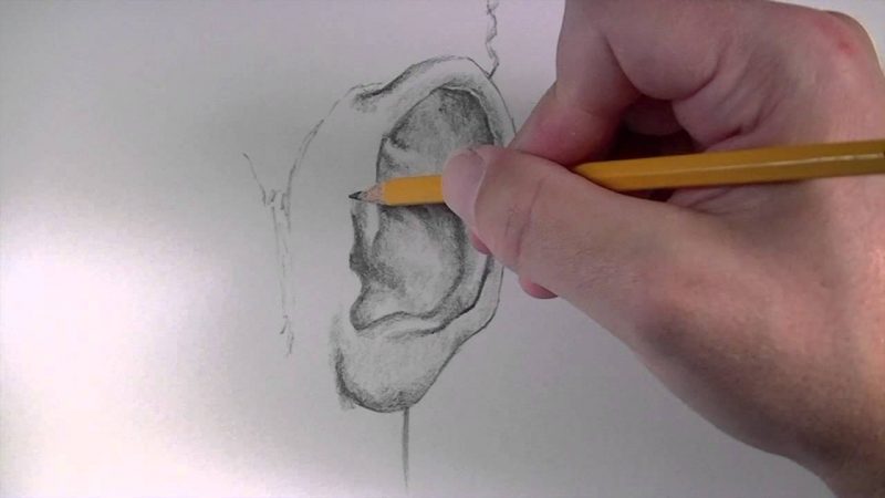 HOW TO DRAW EARS: Tips and Tricks for Drawing Ears - PaintingTube