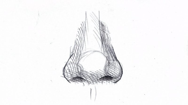 How to Draw Noses from Different Angles - PaintingTube