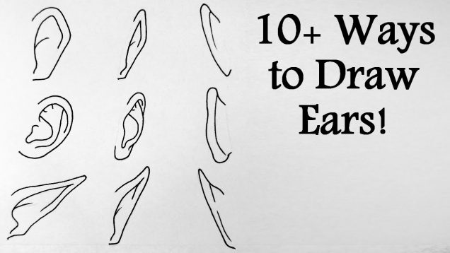 How to Draw Ears - Tutorial - JelArts - PaintingTube