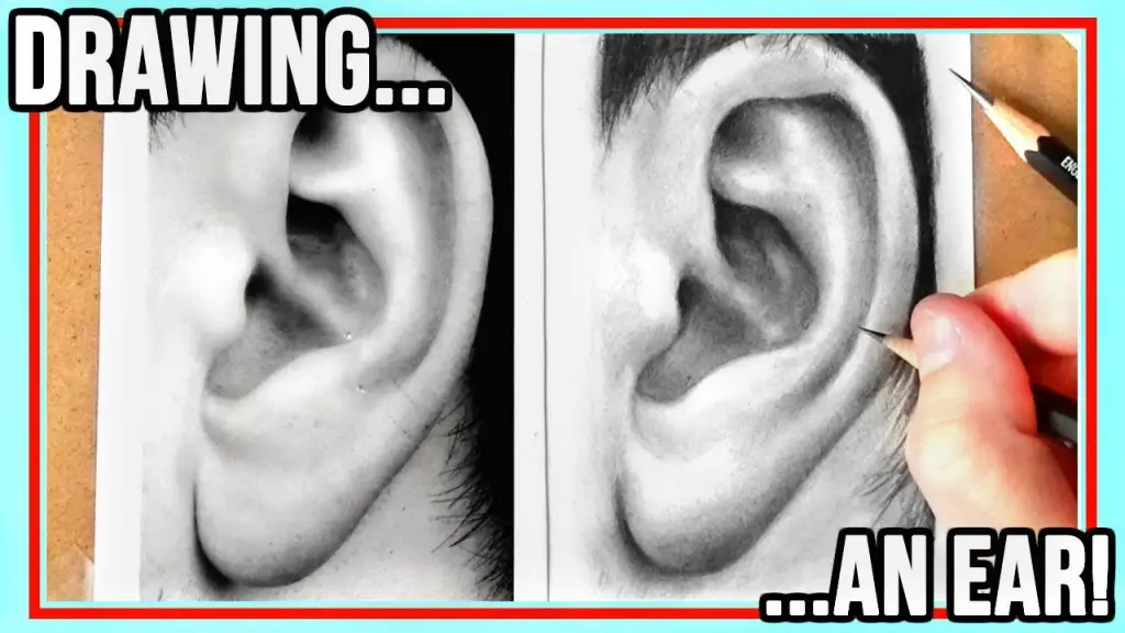 How to Draw an Ear - The virtual instructor - PaintingTube