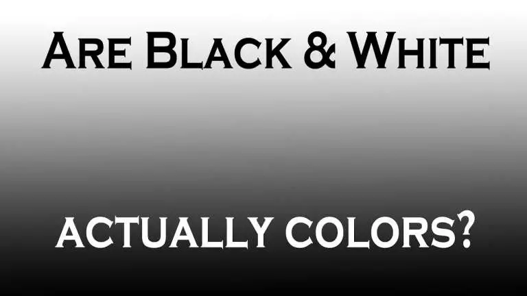 The Painter's Color Wheel with Clones! - PaintingTube