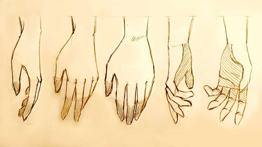 Anatomy Quick Tips: Hands - PaintingTube