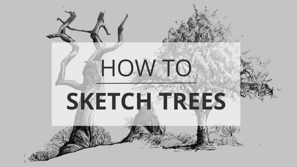 Applying Figure Drawing Principles to Trees - Video Tutorial - PaintingTube